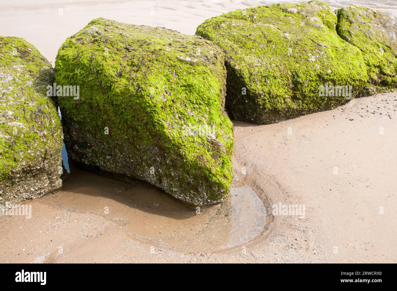 Large rocks on the beach being used as Breakwaters to protect the beach ...