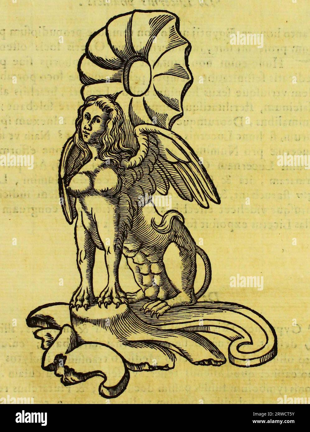 Tomus iii hi-res stock photography and images - Alamy