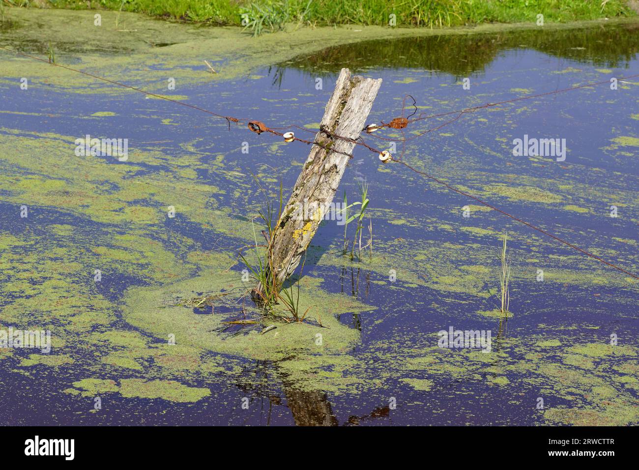 Rotten wooden pole hi-res stock photography and images - Alamy
