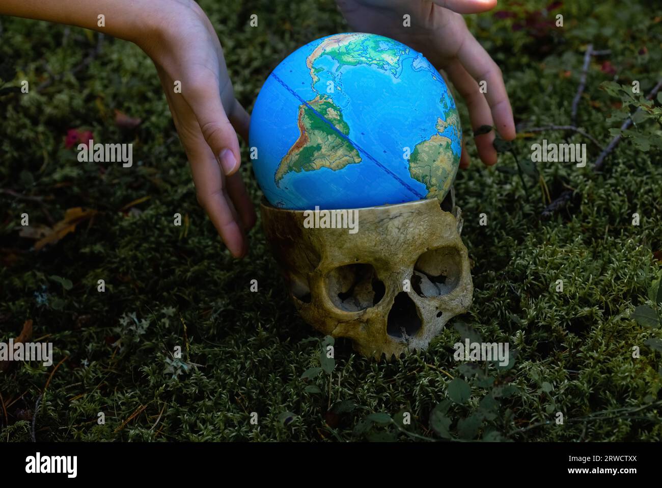 Fake human skull. Decorative skull. An artificial human skull and a ...