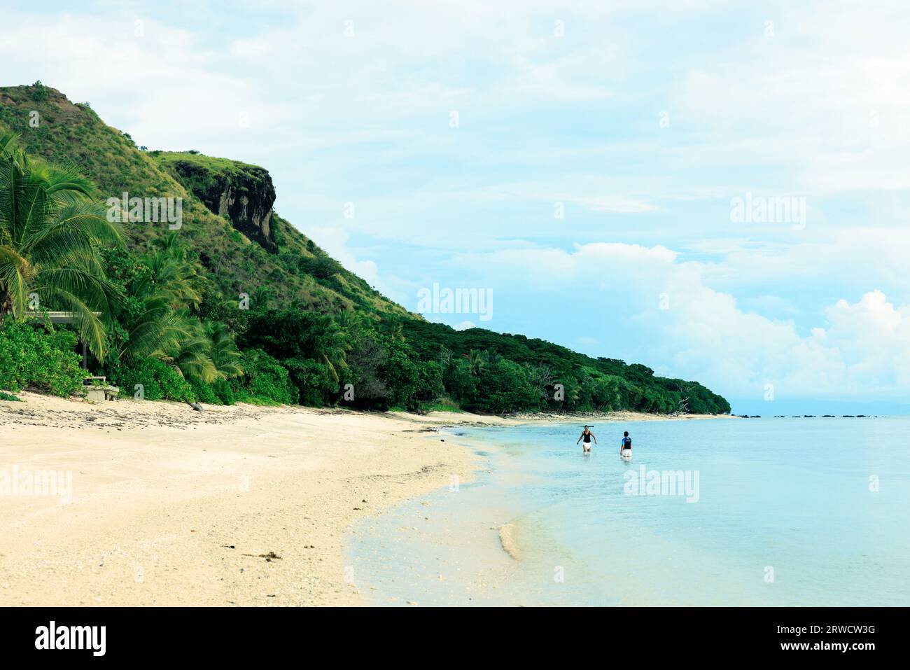 Tropical forest in fiji hi-res stock photography and images - Alamy