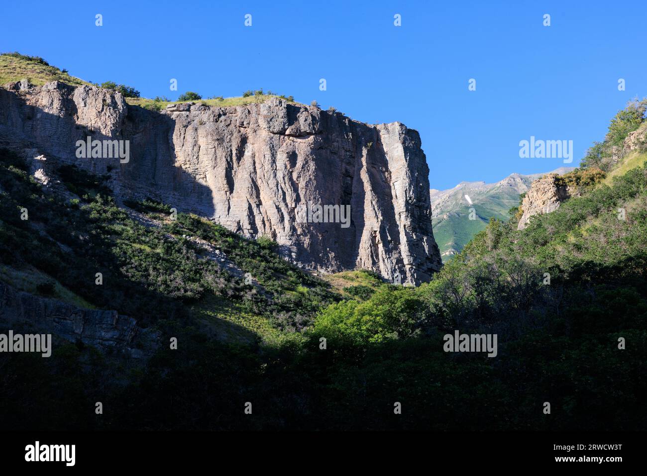 Distant forest hi-res stock photography and images - Alamy
