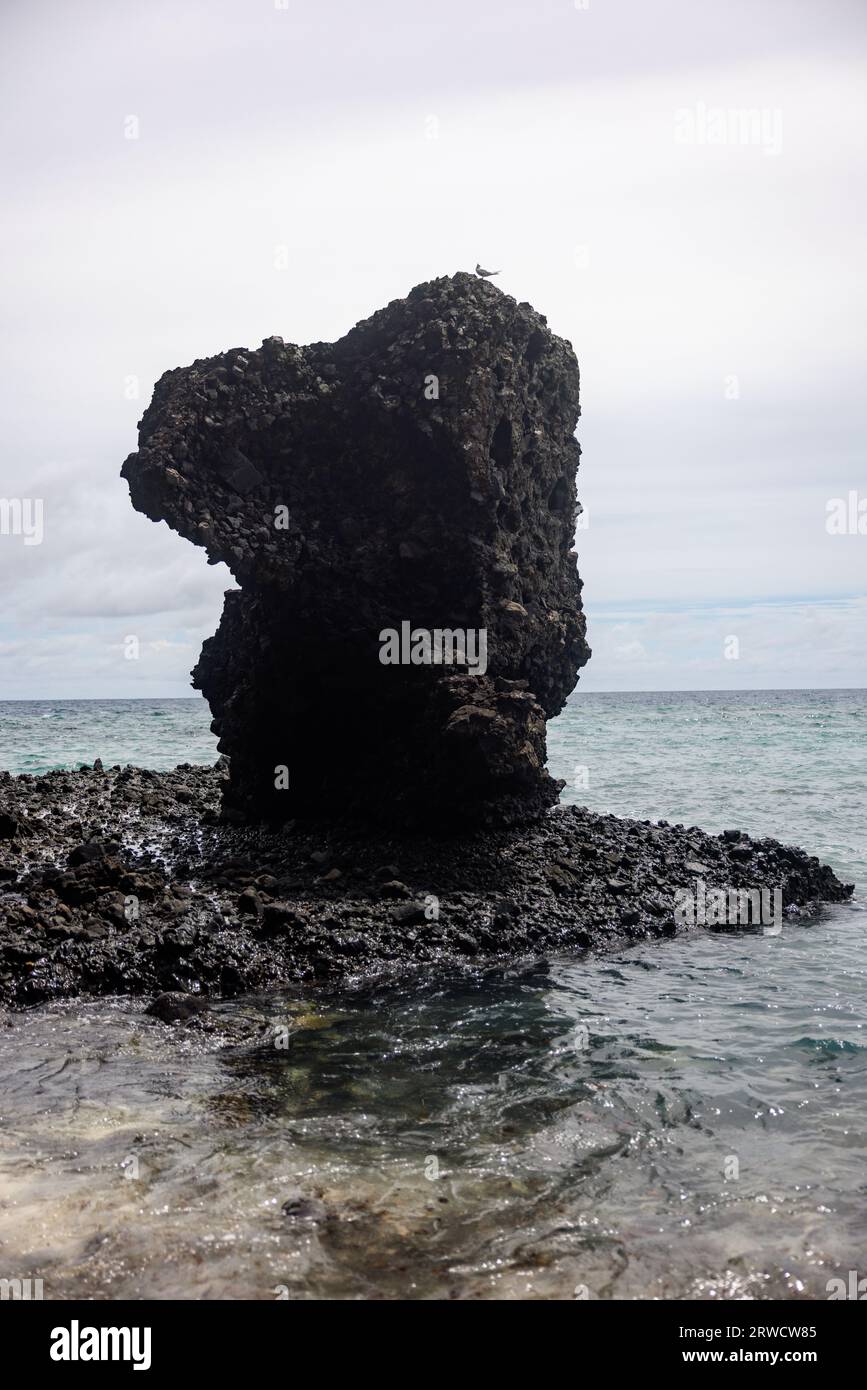 igneous rock standing on fiji beach Stock Photo - Alamy