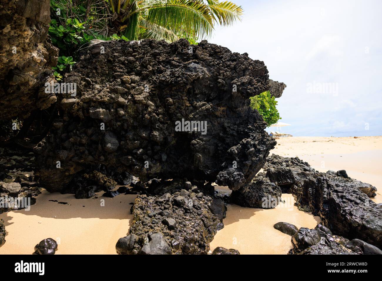 beach rocks under a palm tree fiji Stock Photo - Alamy
