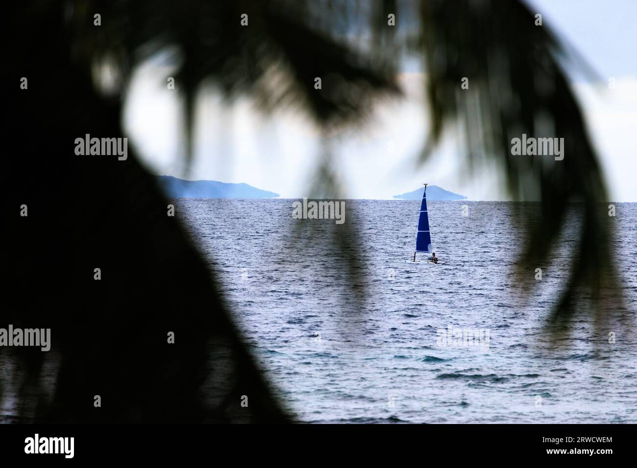 blue sail boat behind palm trees fiji Stock Photo - Alamy