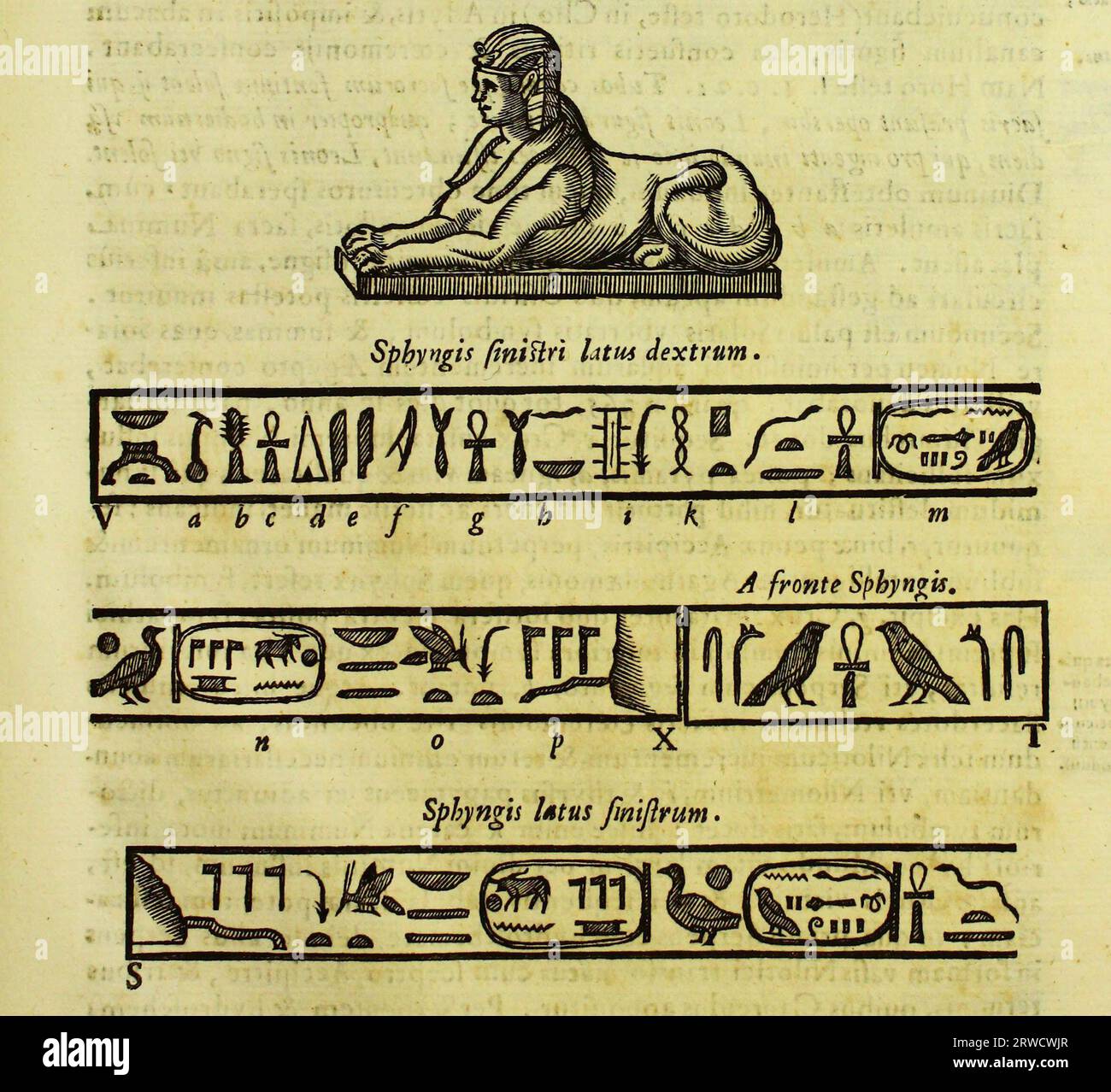 Tomus iii hi-res stock photography and images - Alamy