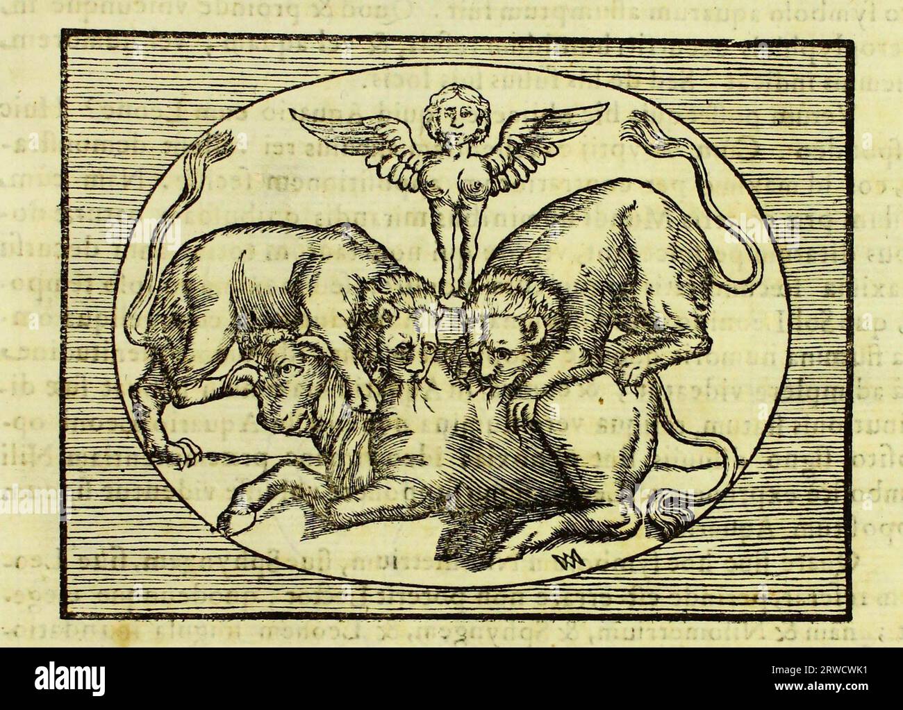 Tomus iii hi-res stock photography and images - Alamy