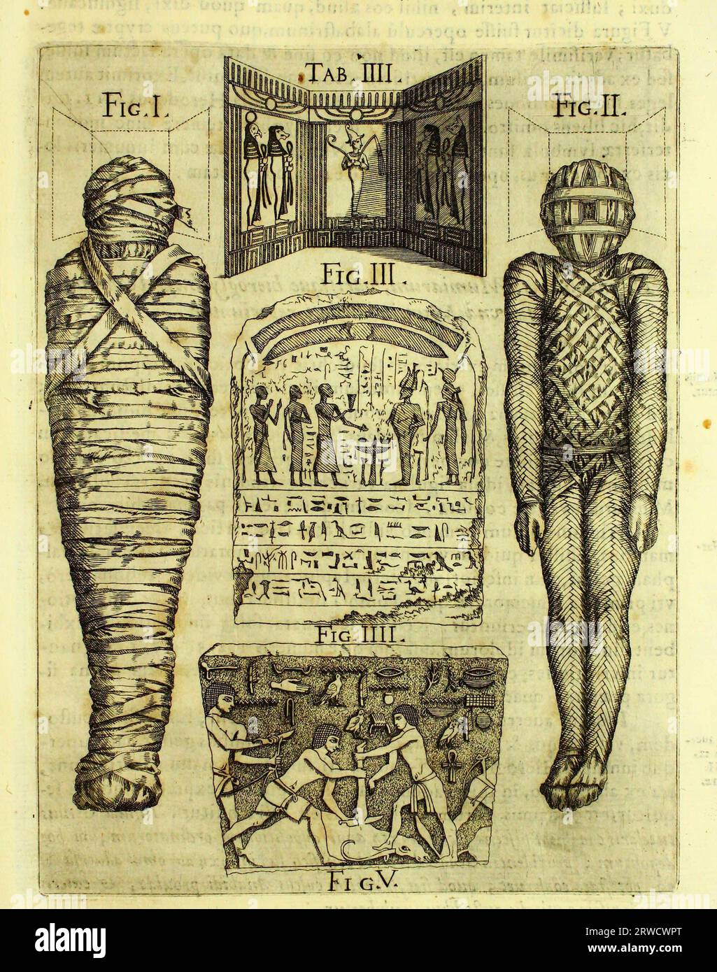 Tomus iii hi-res stock photography and images - Alamy