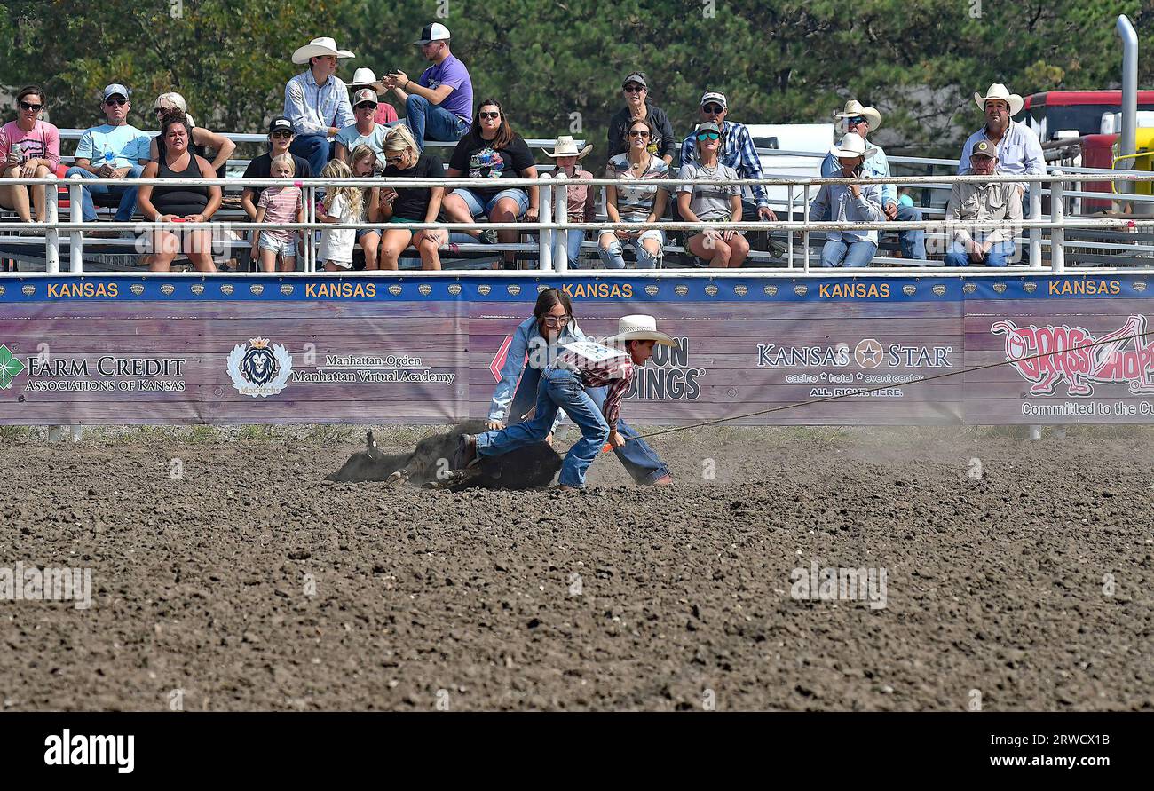 EMPORIA, KANSAS - SEPTEMBER 17, 2023 During the team ribbon roping ...