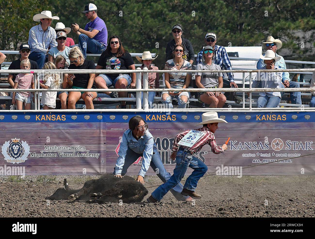 EMPORIA, KANSAS - SEPTEMBER 17, 2023 During the team ribbon roping ...