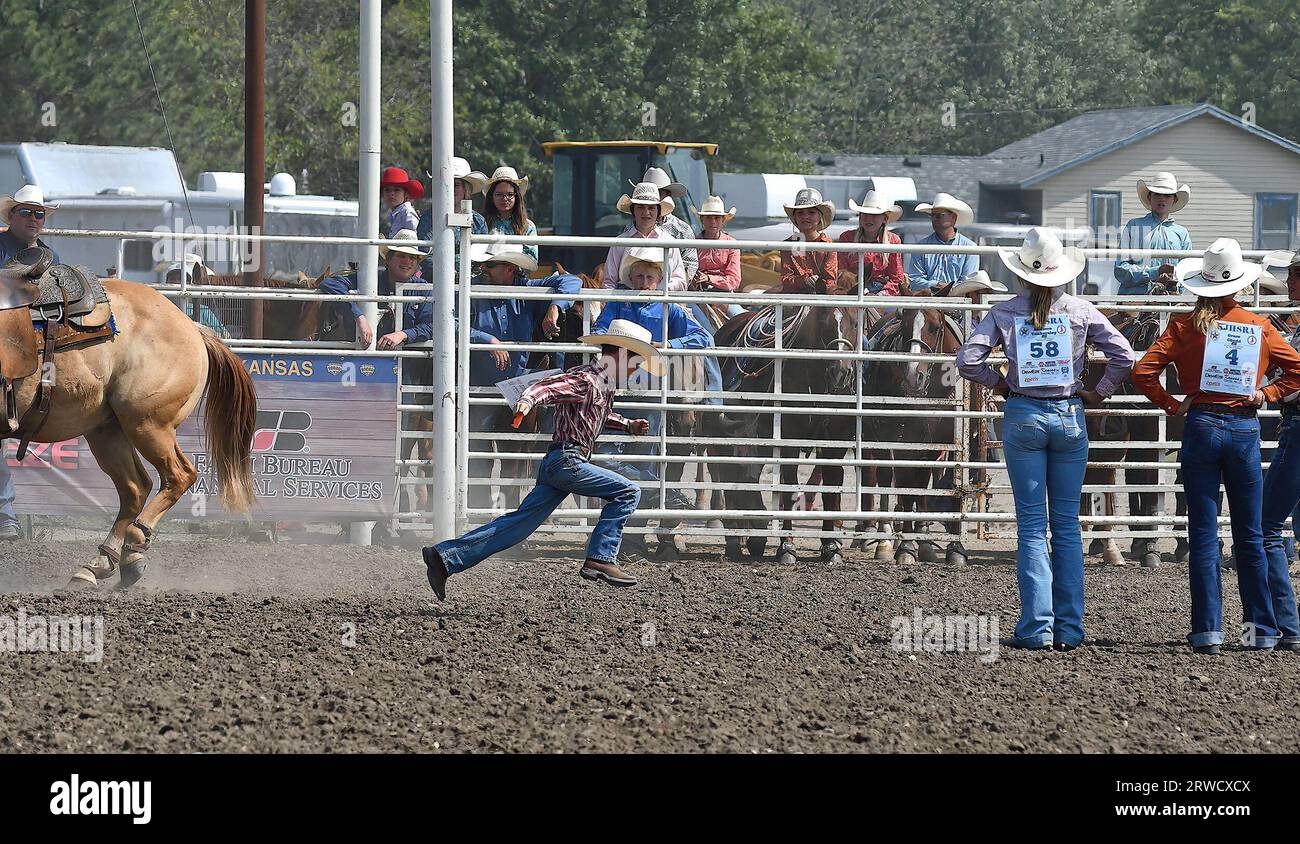 EMPORIA, KANSAS - SEPTEMBER 17, 2023 During the team ribbon roping ...