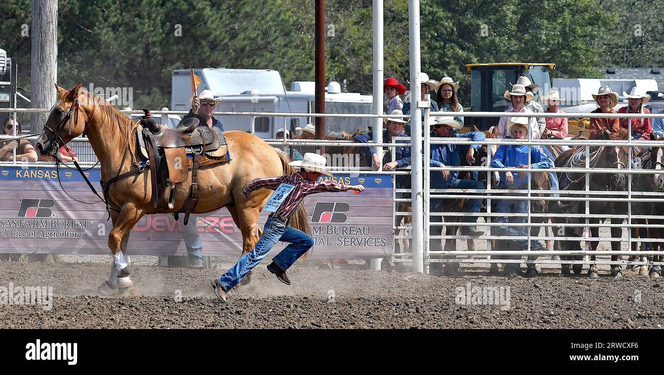 EMPORIA, KANSAS - SEPTEMBER 17, 2023 During the team ribbon roping ...