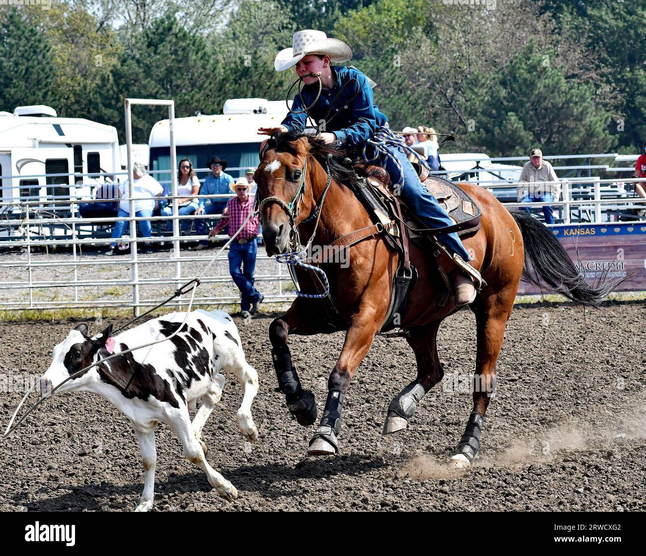 Lassoes hi-res stock photography and images - Alamy