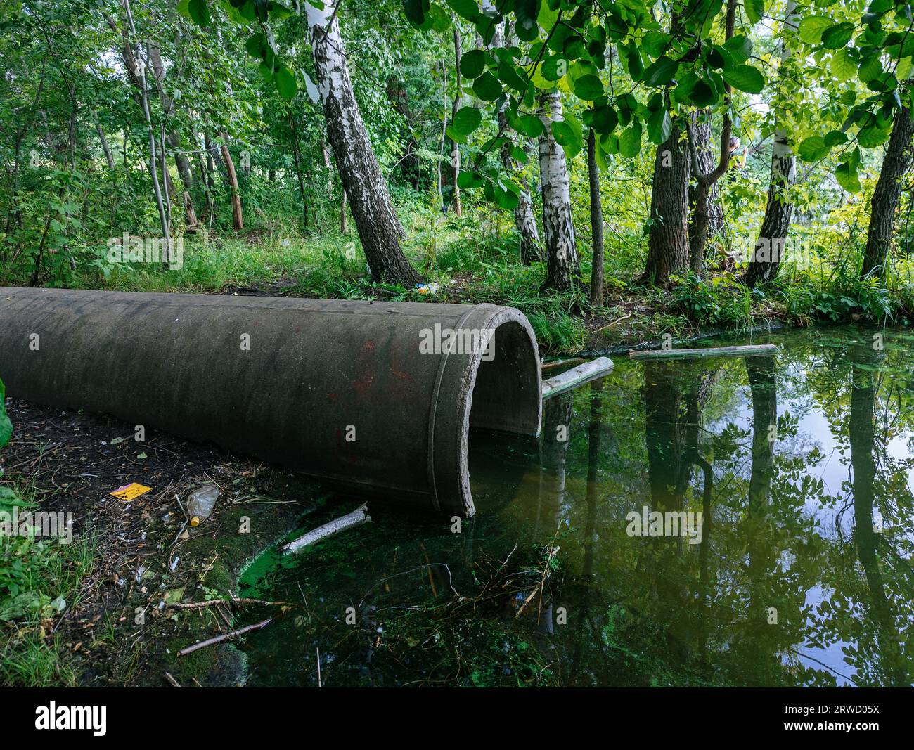 Dirty sewage water flows into the river from pipe, environmental ...