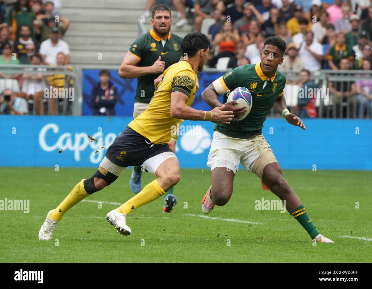 Grant WILLIAMS of South Africa during the World Cup 2023, Pool B rugby ...