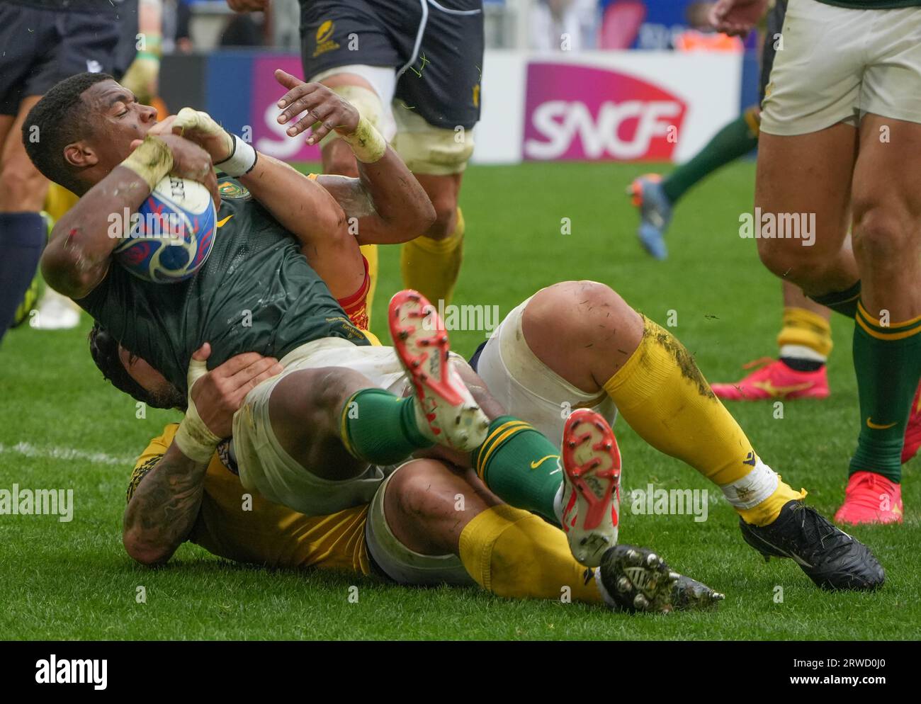 Grant WILLIAMS of South Africa during the World Cup 2023, Pool B rugby ...