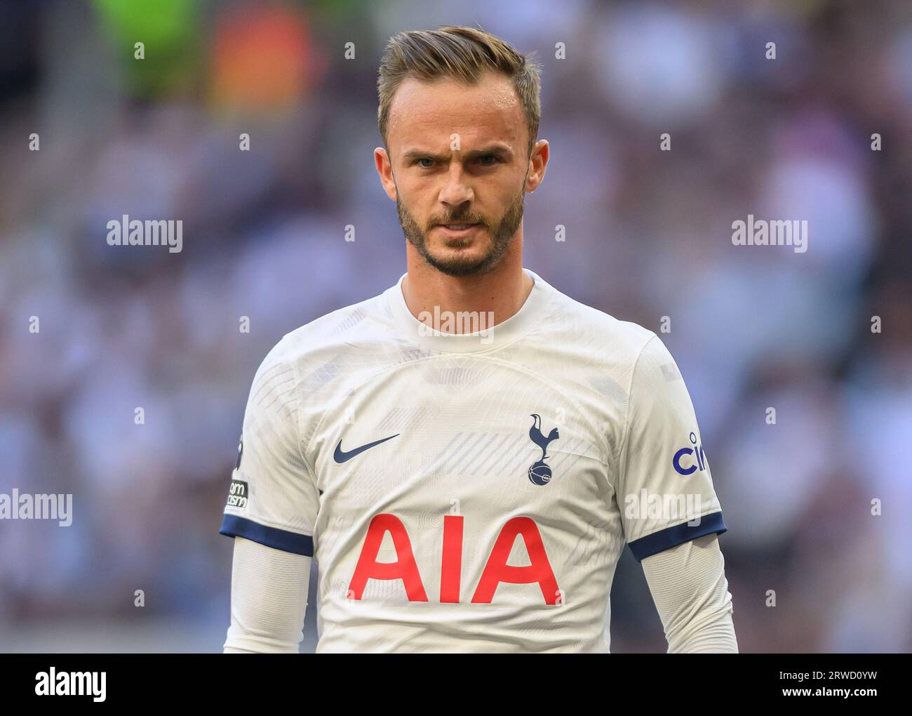 James maddison tottenham hi-res stock photography and images - Alamy