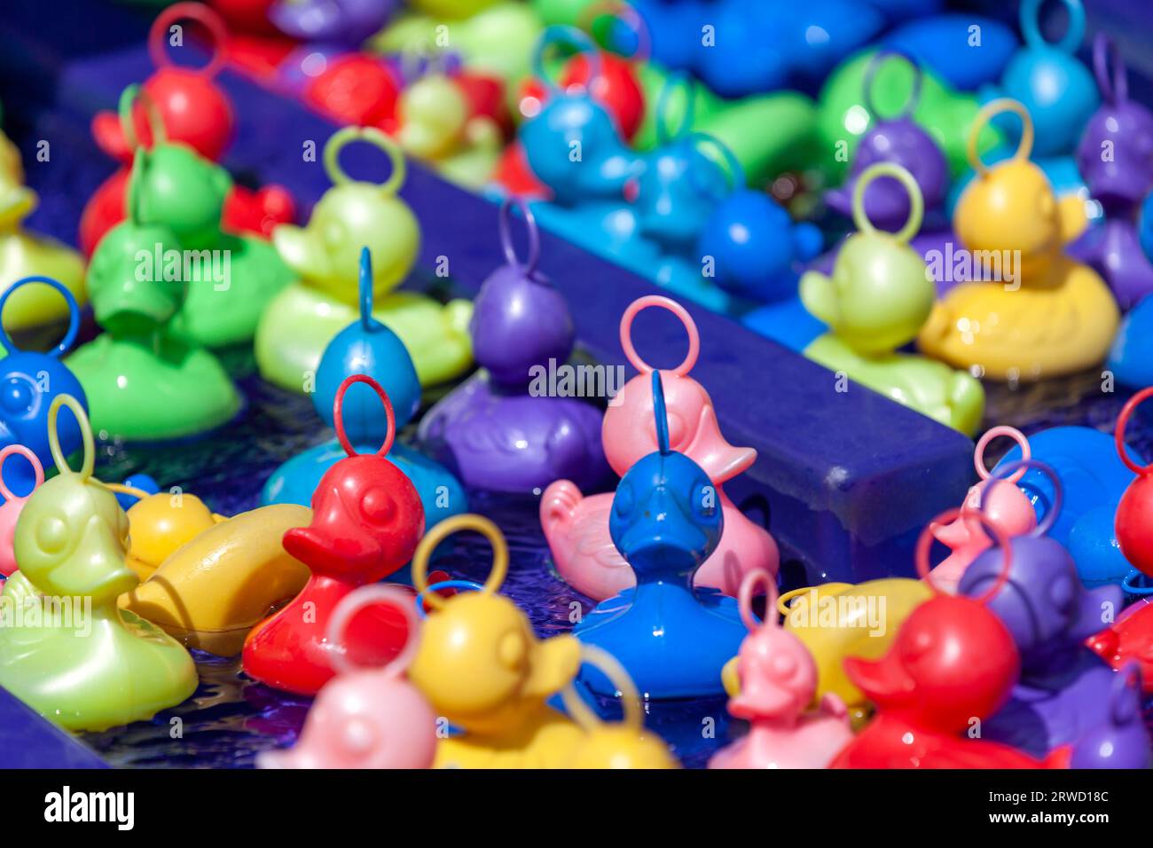 Colorful plastic ducks in the water basin of a traveling carnival stall ...