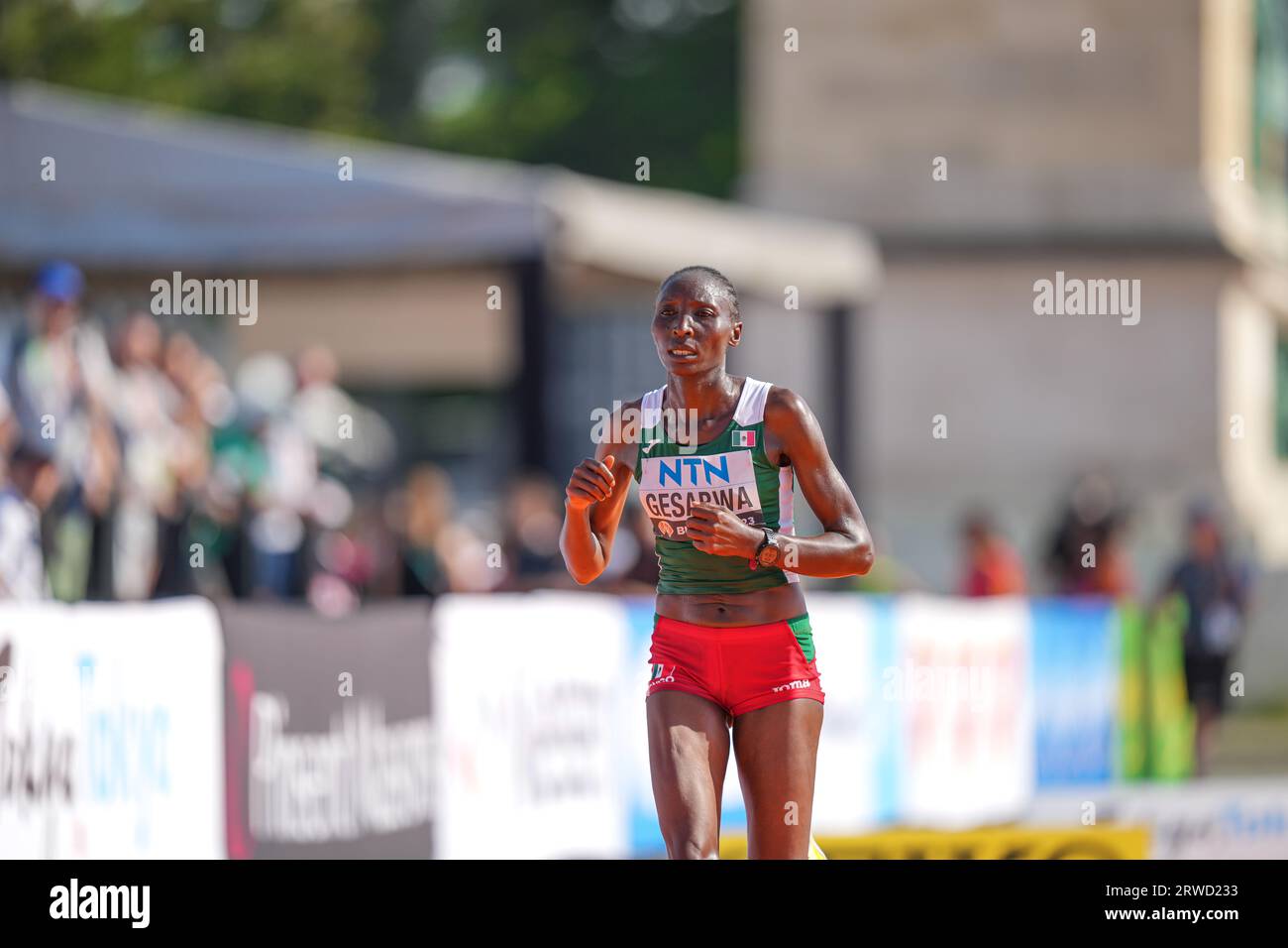 Risper biyaki hi-res stock photography and images - Alamy