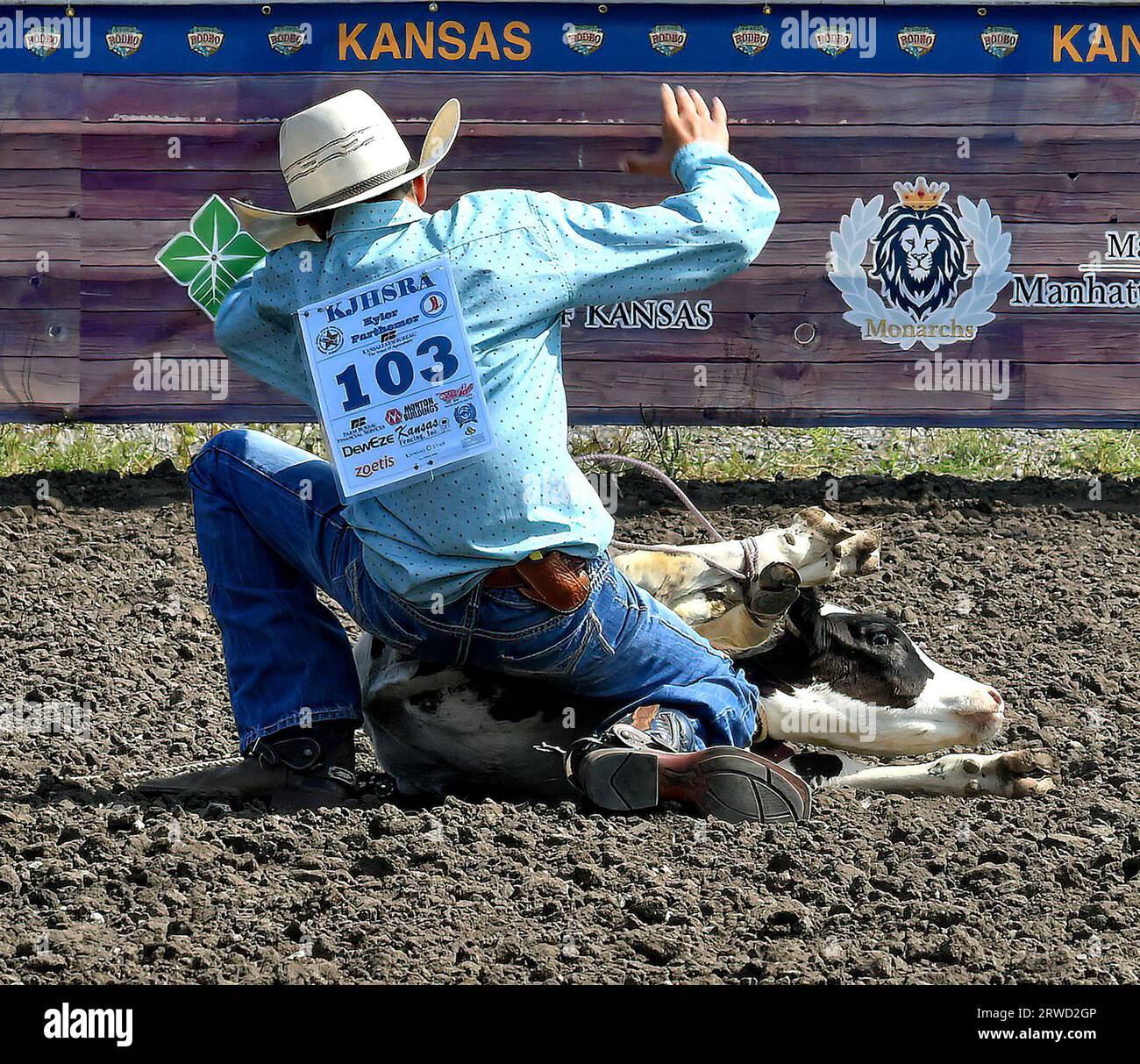 Calf raises hi-res stock photography and images - Alamy