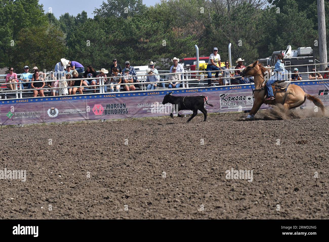 Emporia, KS, USA. 17th Sep, 2023. During the team ribbon roping event ...