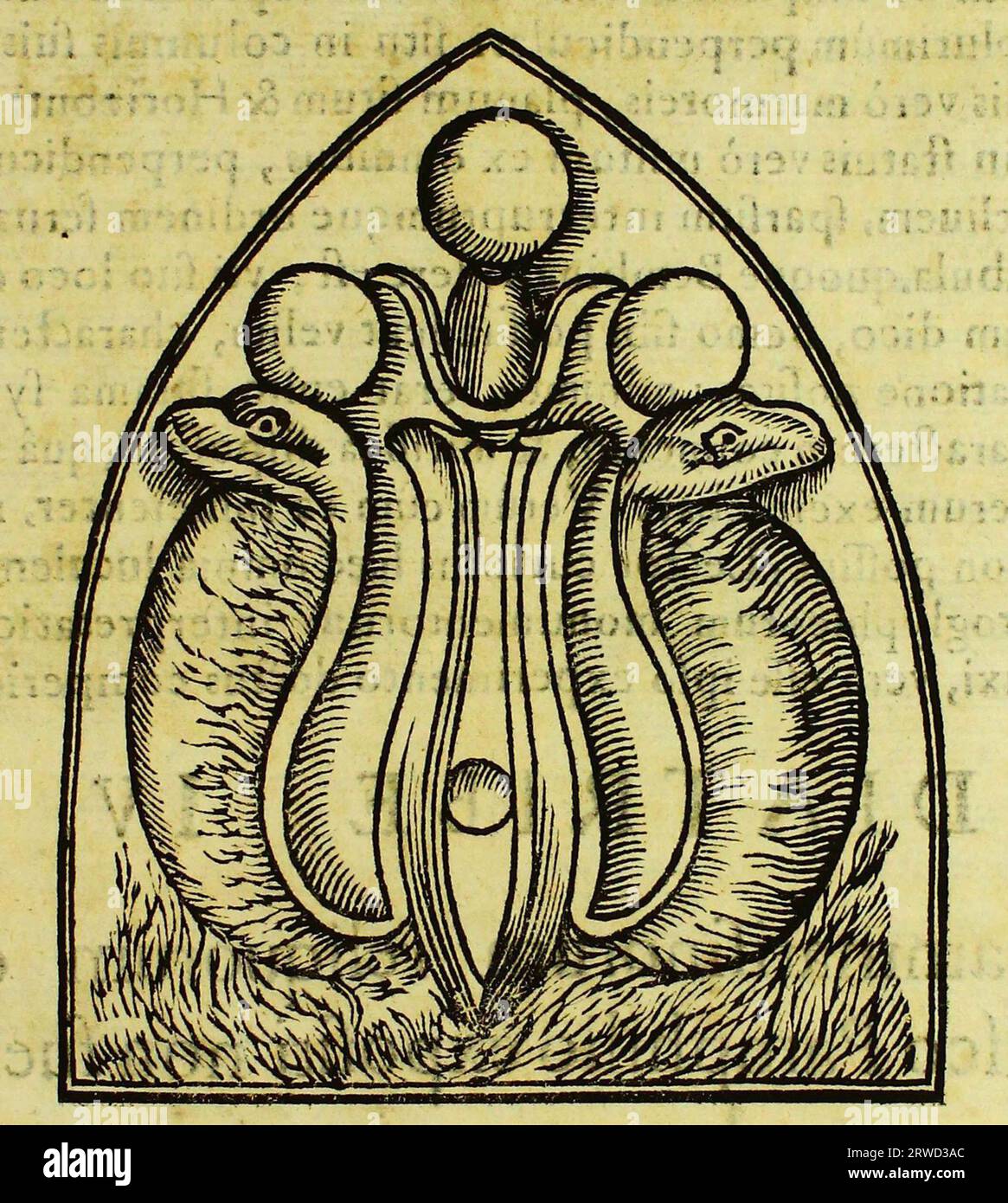 Tomus iii hi-res stock photography and images - Alamy