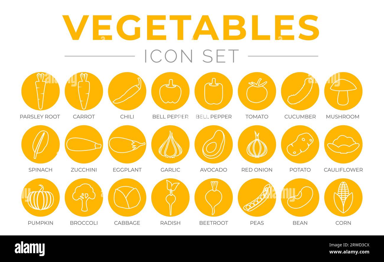 Yellow round zucchini Stock Vector Images - Alamy