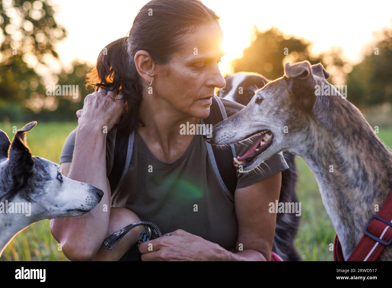 Pet owner with her dogs resting during dog walking outdoors. Friendship ...