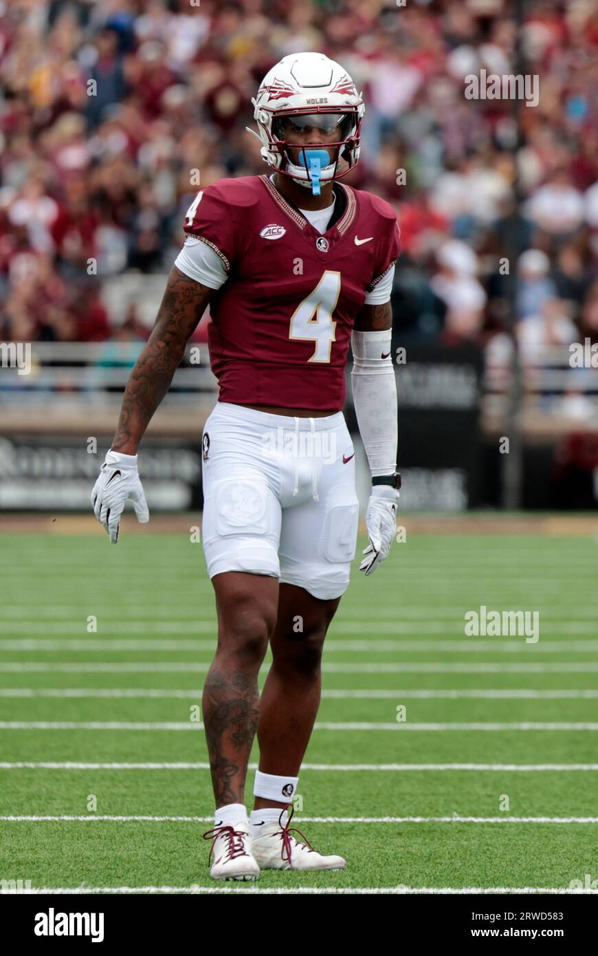 CHESTNUT HILL, MA - SEPTEMBER 16: Florida State Seminoles wide receiver ...