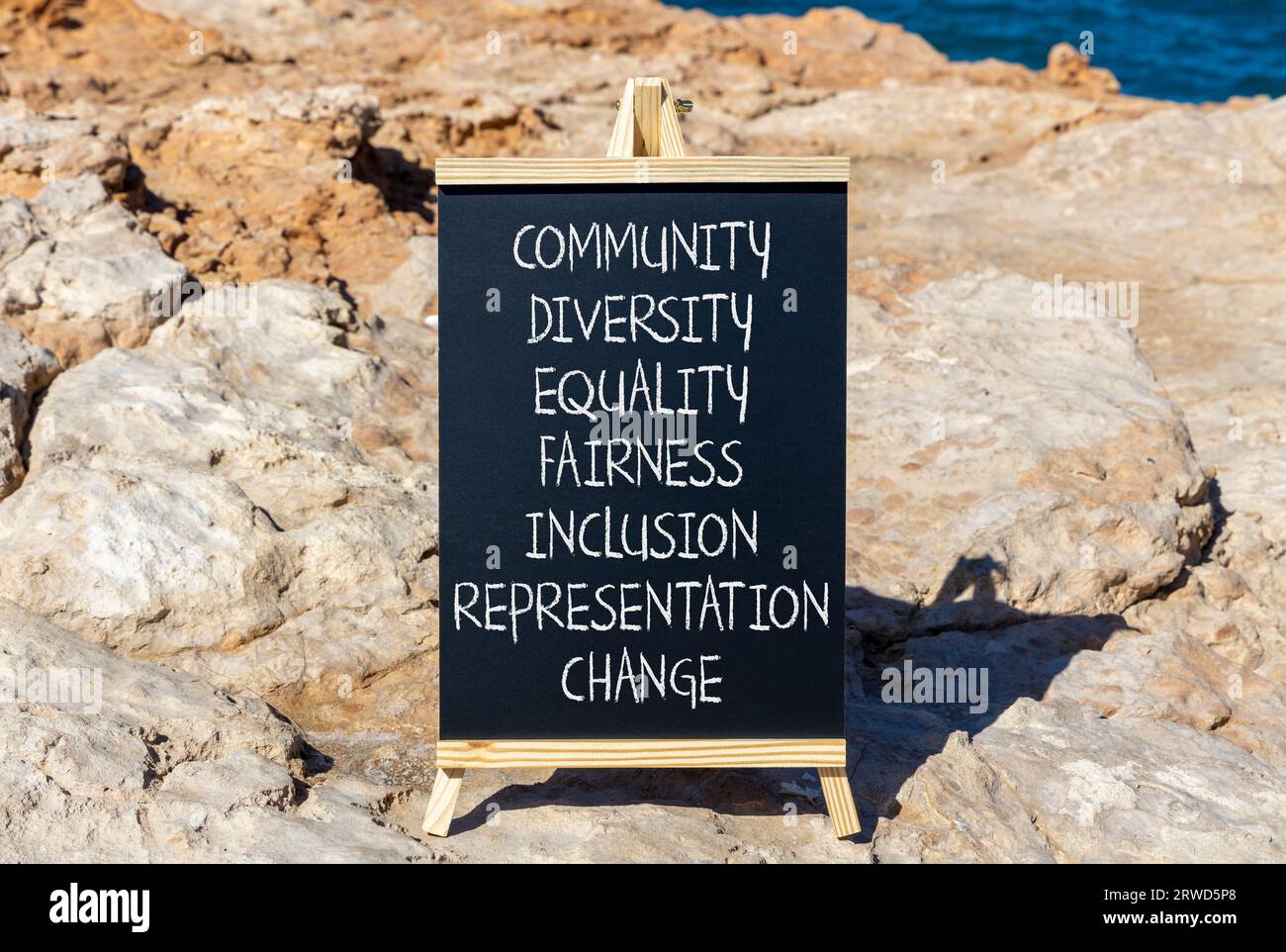 Diversity inclusion symbol. Concept words Community Diversity Equality ...