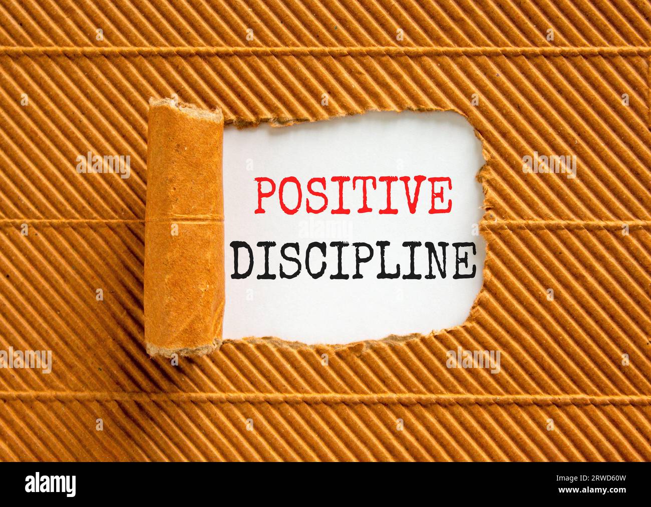 Positive discipline symbol. Concept words Positive discipline on ...