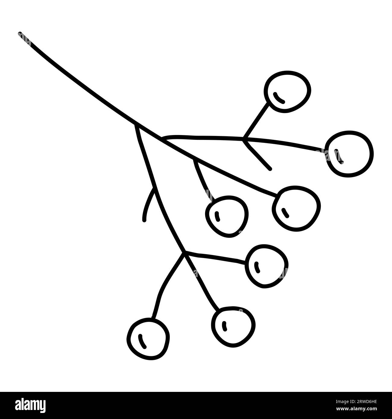 Branch with red rowan berries, doodle style flat vector outline ...