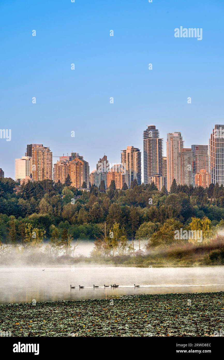 Metrotown Centre, from, Deer Lake Park, Burnaby, British Columbia ...