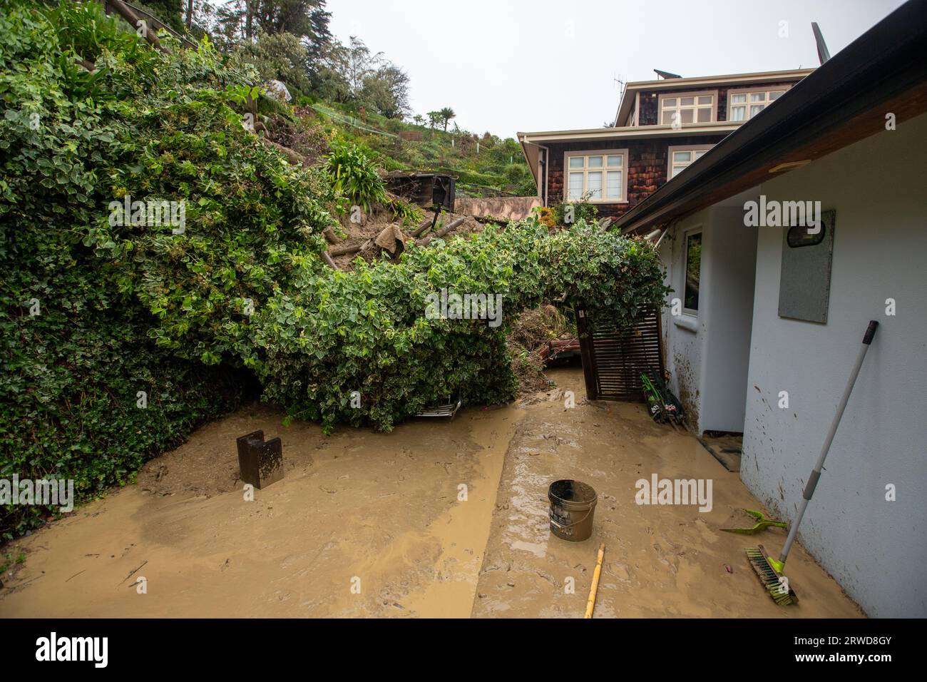 Picture by Tim Cuff - 20 August 2022 - Floods in Nelson - pictures ...