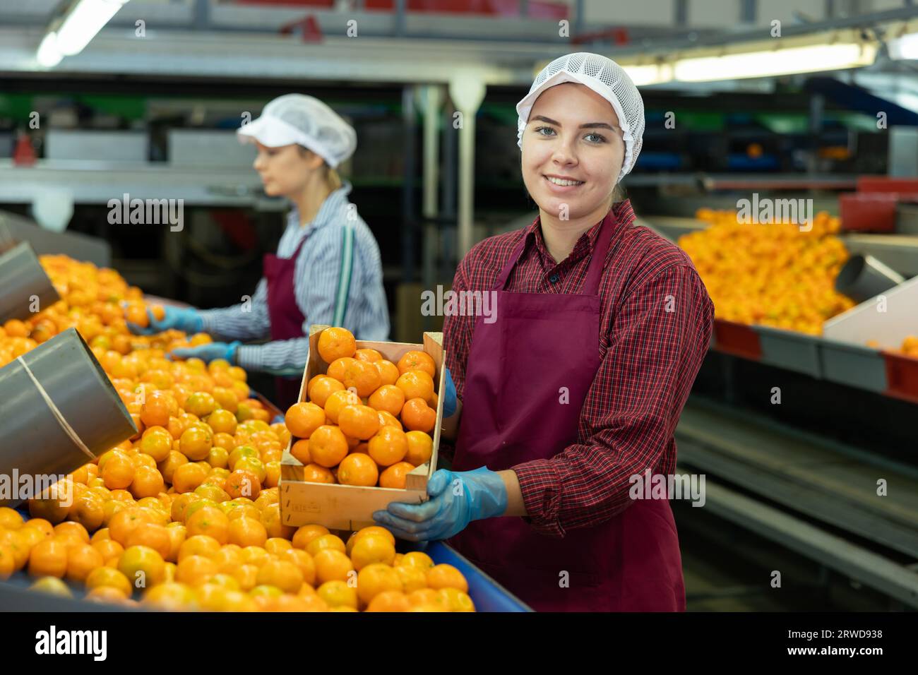 Glad positive female employee in colored uniforms hold a box of fresh ...