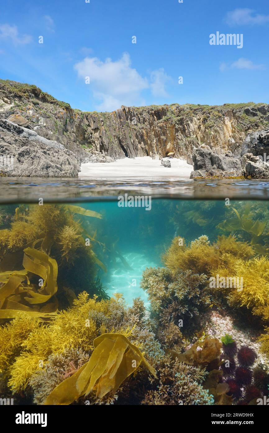 Nature scene beach rocky coastline hi-res stock photography and images ...
