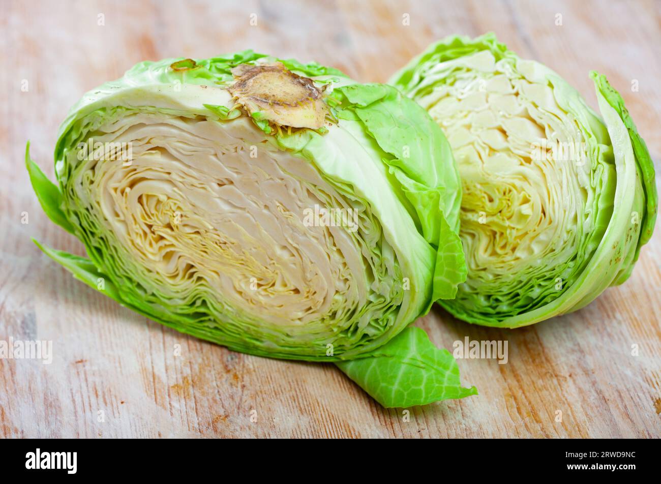 White cabbage cut in half Stock Photo - Alamy