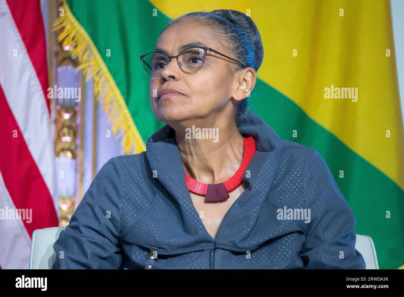 Brazilian Environment Minister Marina Silva during the first edition of ...
