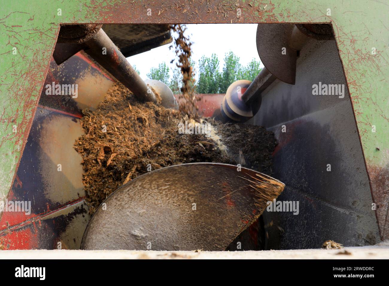 Cattle feed operation hi-res stock photography and images - Alamy