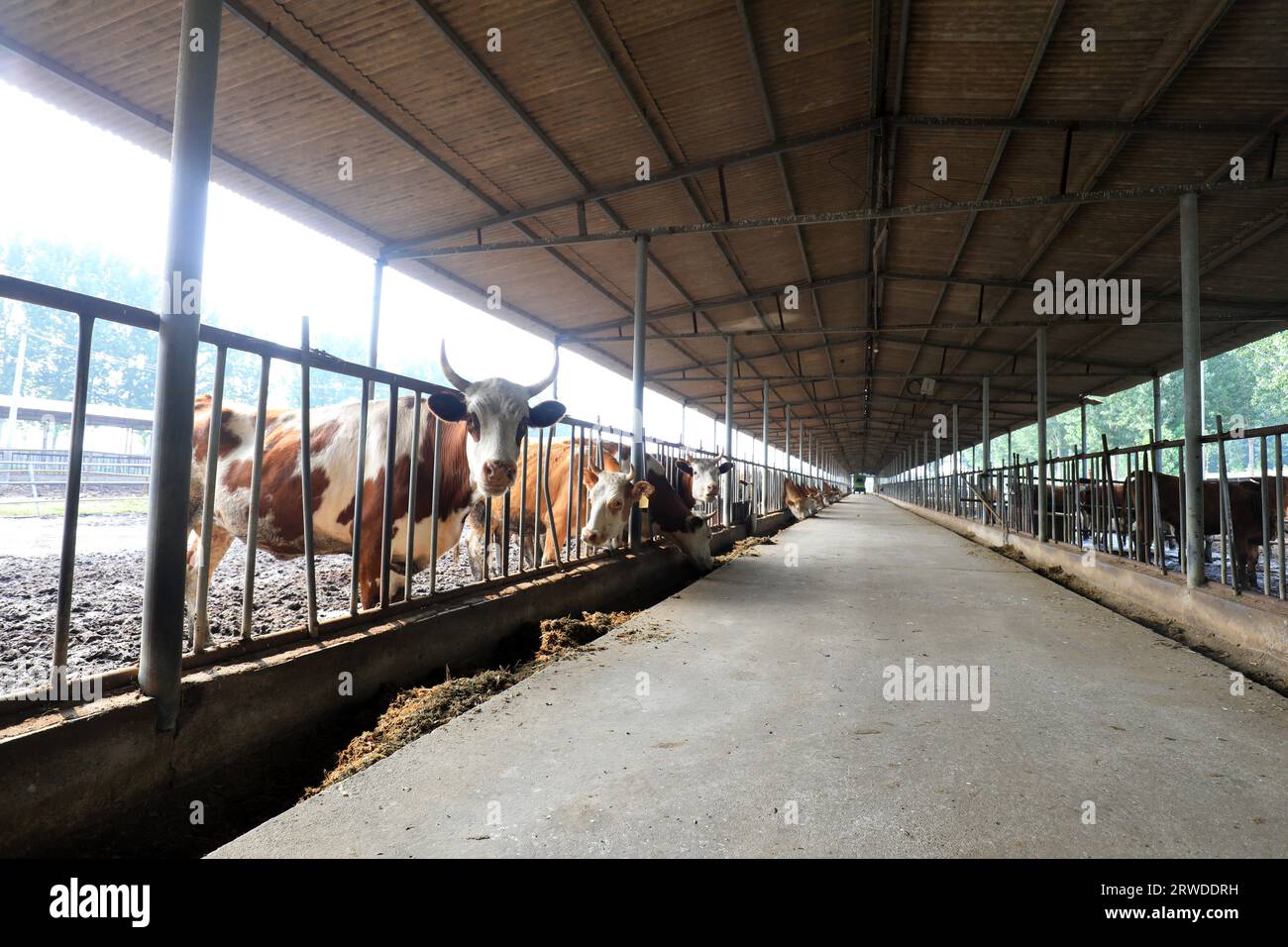 North china farms hi-res stock photography and images - Alamy