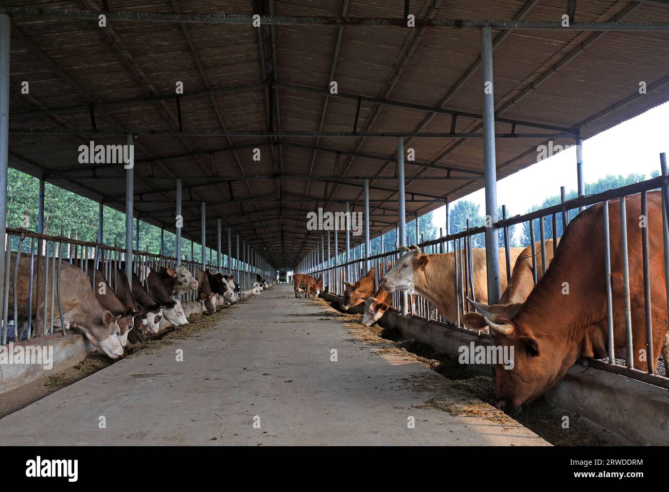 North china farms hi-res stock photography and images - Alamy