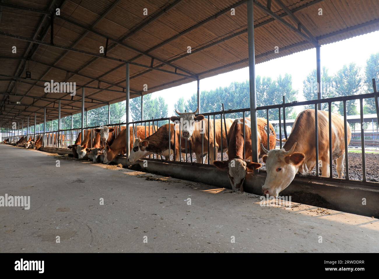 North china farms hi-res stock photography and images - Alamy