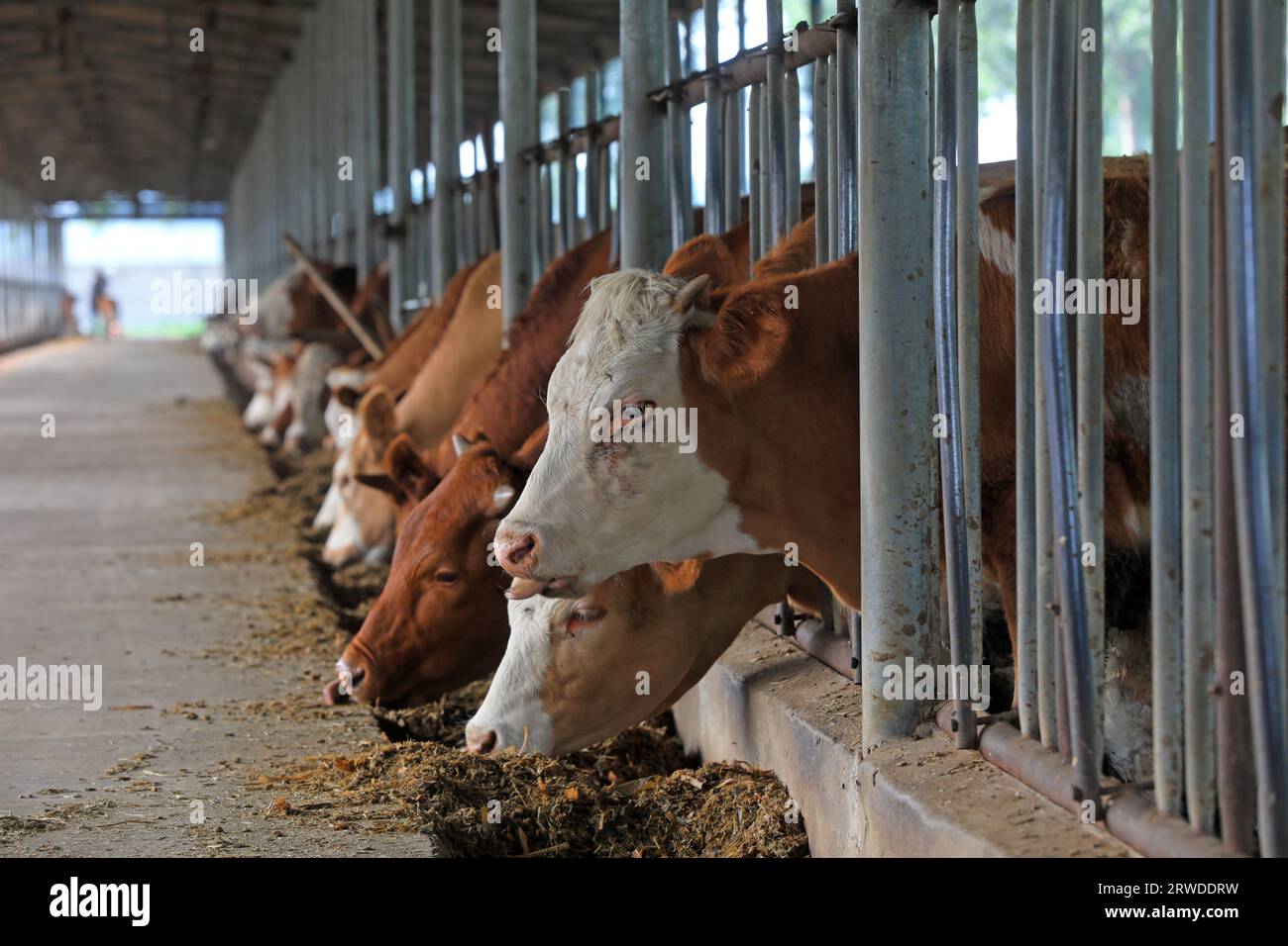 North china farms hi-res stock photography and images - Alamy