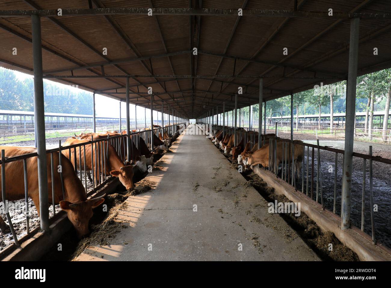 North china farms hi-res stock photography and images - Alamy