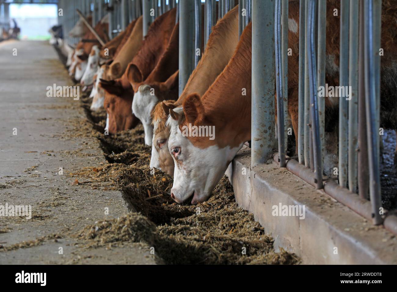 North china farms hi-res stock photography and images - Alamy