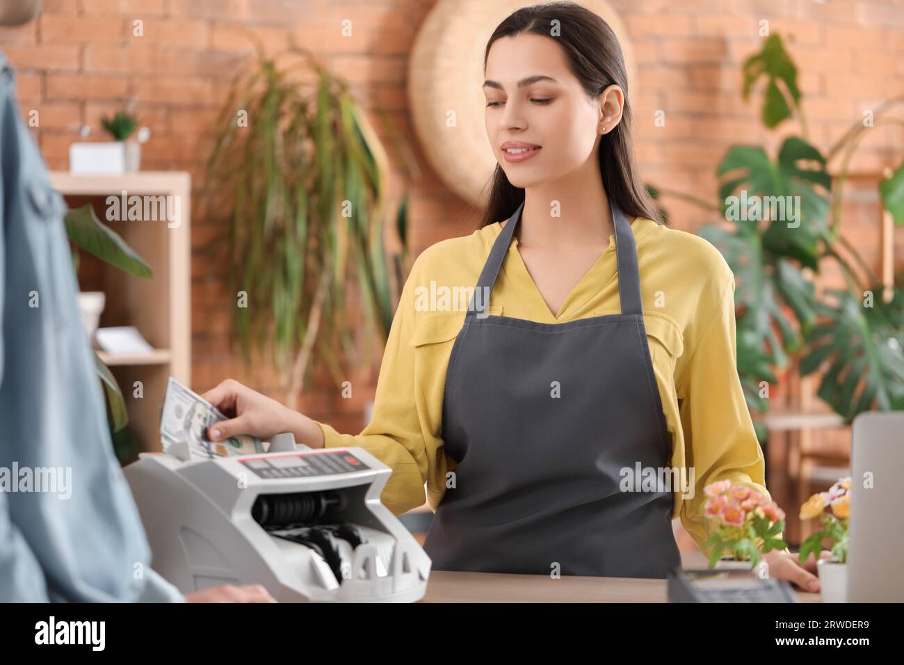 Female cashier counting money。 hi-res stock photography and images - Alamy