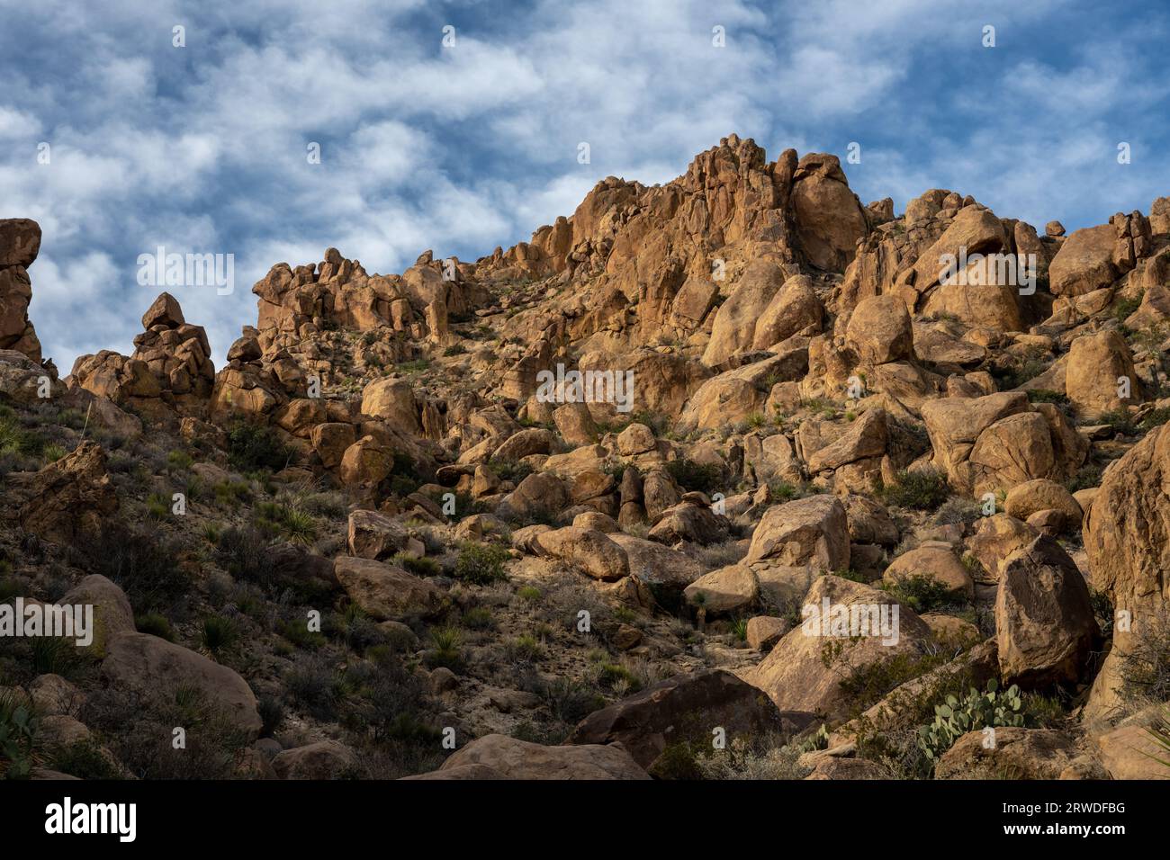 Smooth Rocks Crowd The Hillside At Grapevine Hills In Big Bend National ...