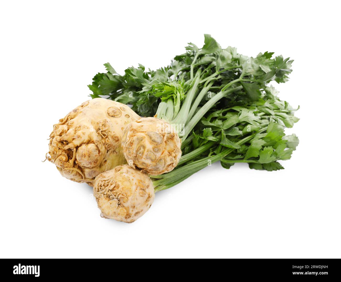Celeriac leaves Cut Out Stock Images & Pictures - Alamy