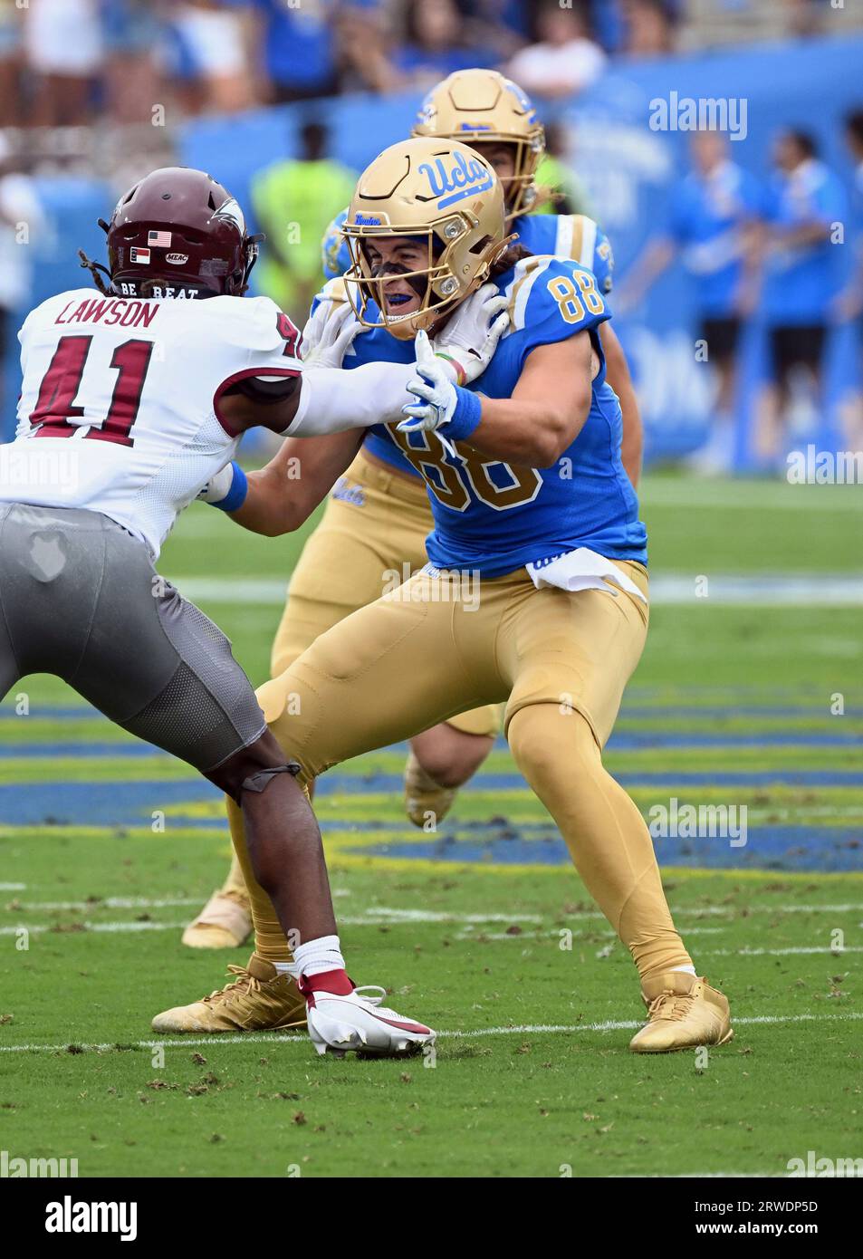 PASADENA, CA - SEPTEMBER 16: UCLA Bruins tight end Moliki Matavao (88 ...