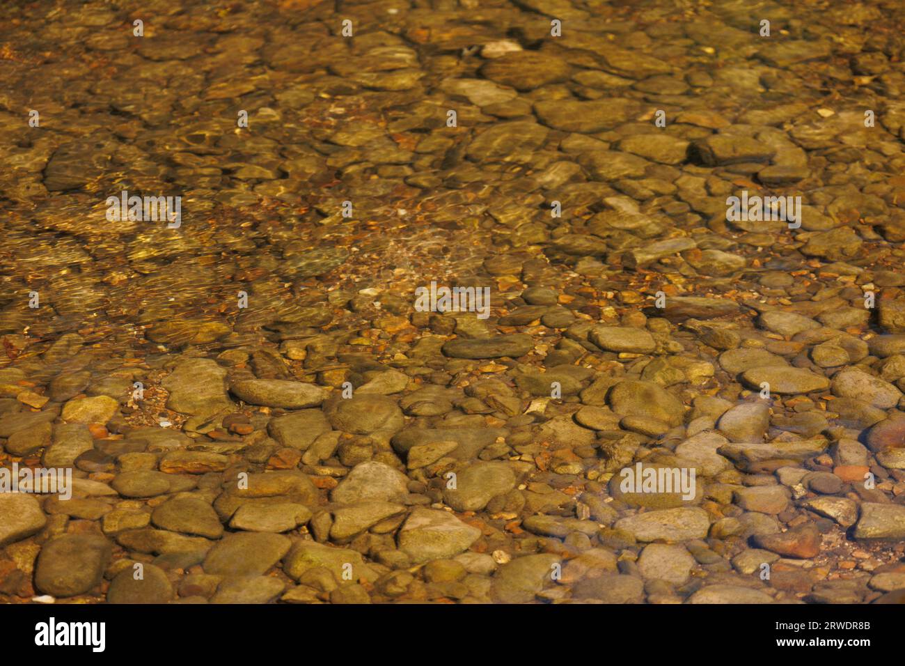 Rocks in the riverbed Stock Photo - Alamy